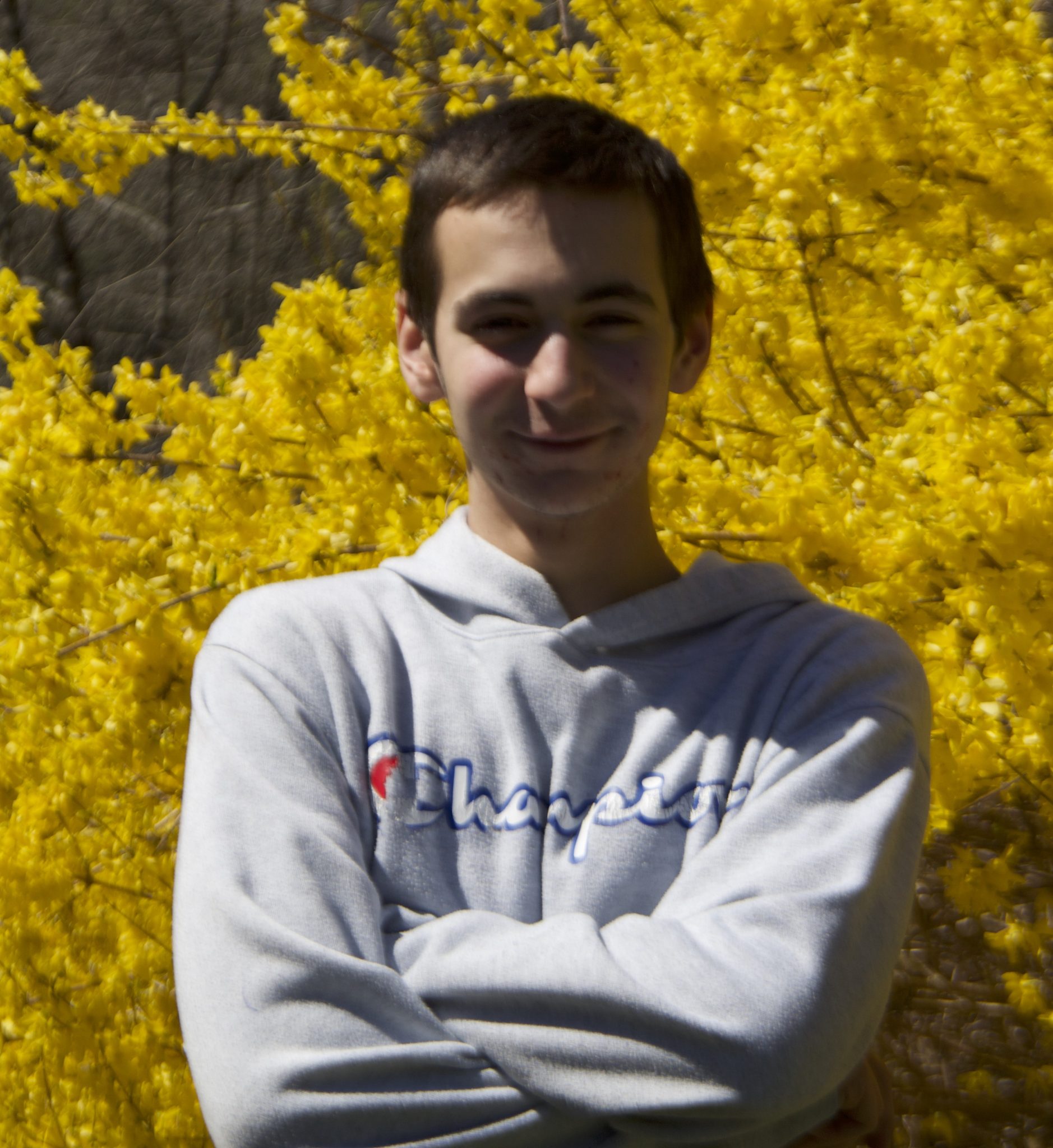 pinecobble.org – A good beginning never ends.