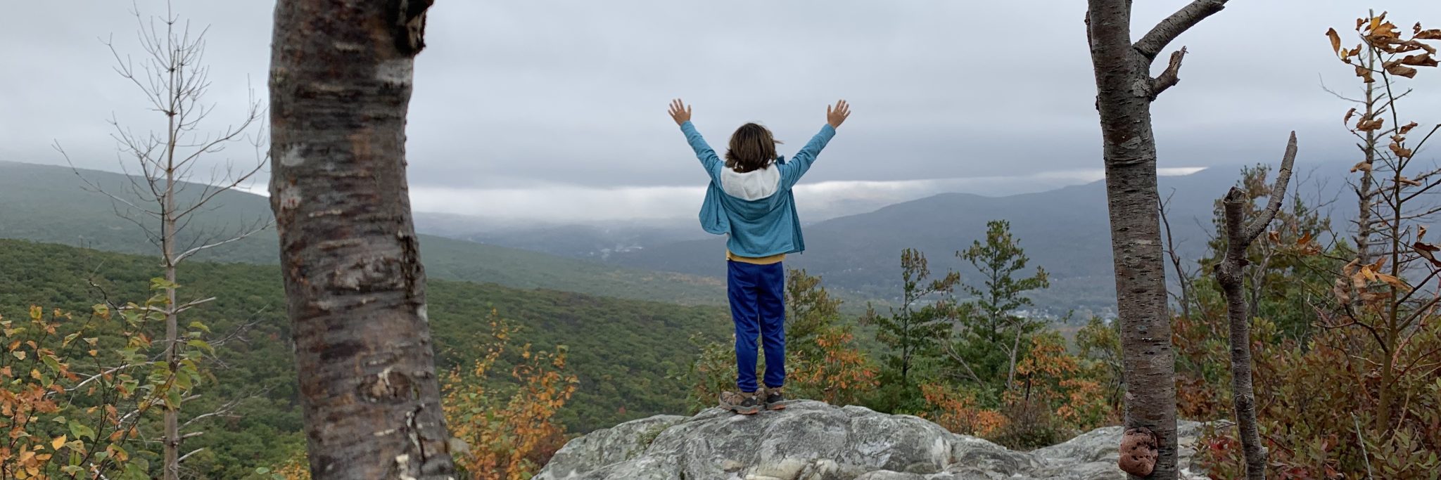 pinecobble.org – A good beginning never ends.